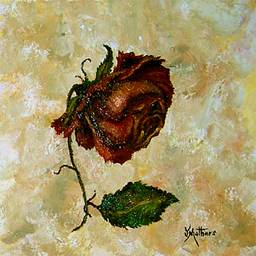 oil paintings by jane mathers in ferngallery australia fern gallery ...